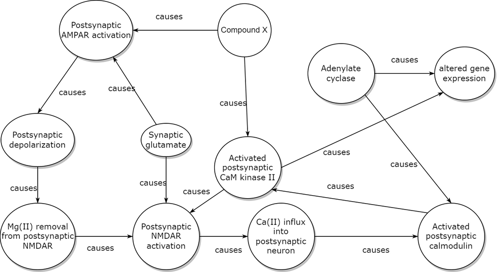 Causal maps as tools for interdisciplinary integration