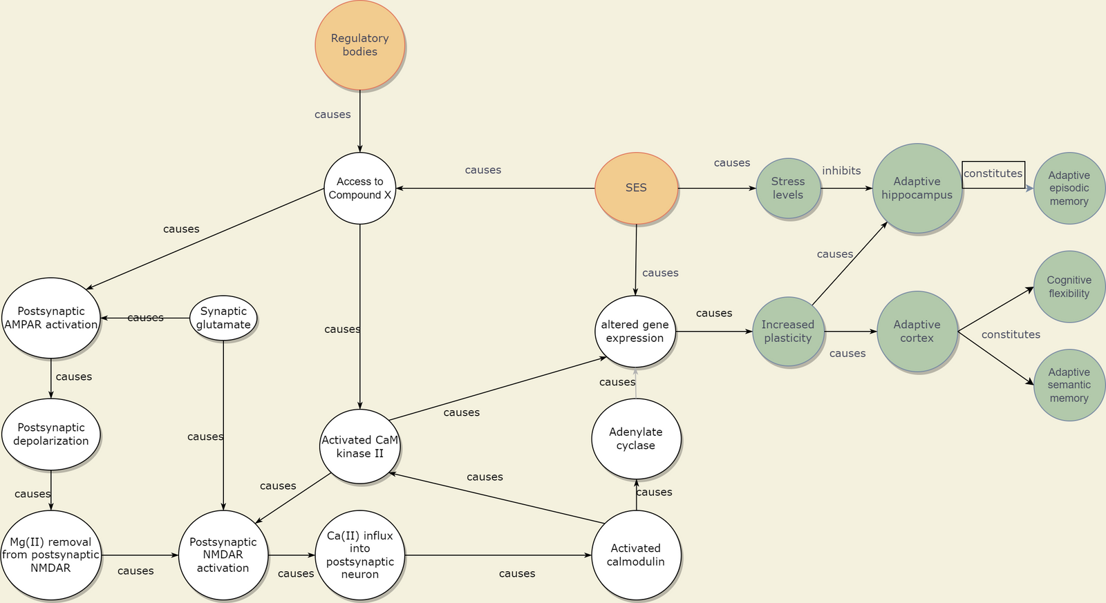 Causal maps as tools for interdisciplinary integration