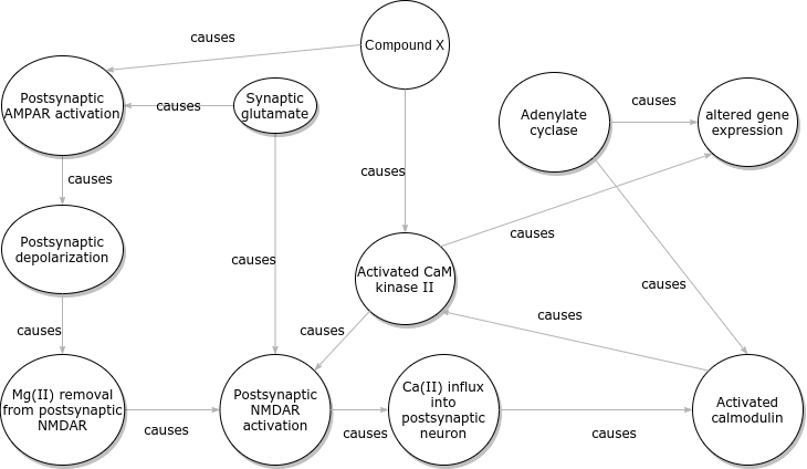 Causal maps: the quest for explanations
