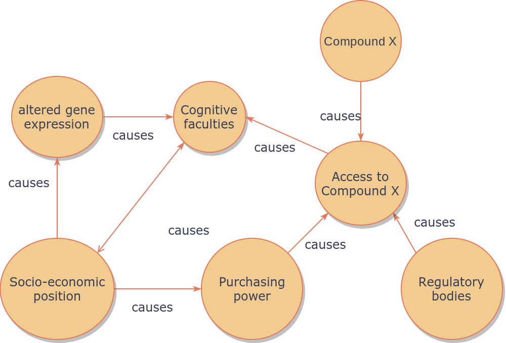 Causal maps as a tool for interdisciplinary integration