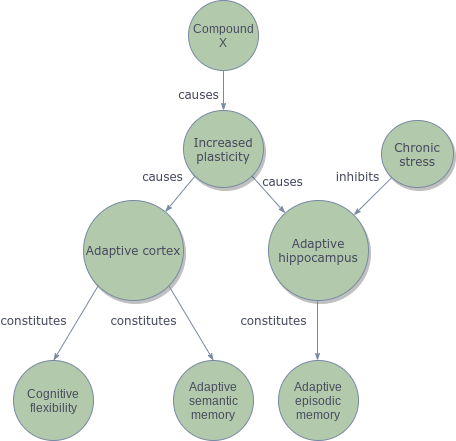 Critical analysis of a causal map